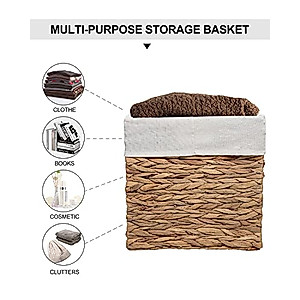 Tegance Water Hyacinth Wicker Storage Baskets, Hand-Woven Cube Storage Baskets with Linings for Shelves,Living Room, Bathroom, Bedroom, 12x12x12 inches, 2 Pack