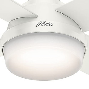 Hunter Fan Company 59242 52" Dempsey Indoor Low Profile Ceiling Fan with Light, Fresh White Finish