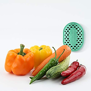 remodeez Refrigerator Deodorizer Eliminator, Nontoxic Coconut, Activated Charcoal, Natural Air Fresheners, Moisture & Odor Absorber for Fridge (Green)