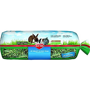 Kaytee Orchard Grass 24oz