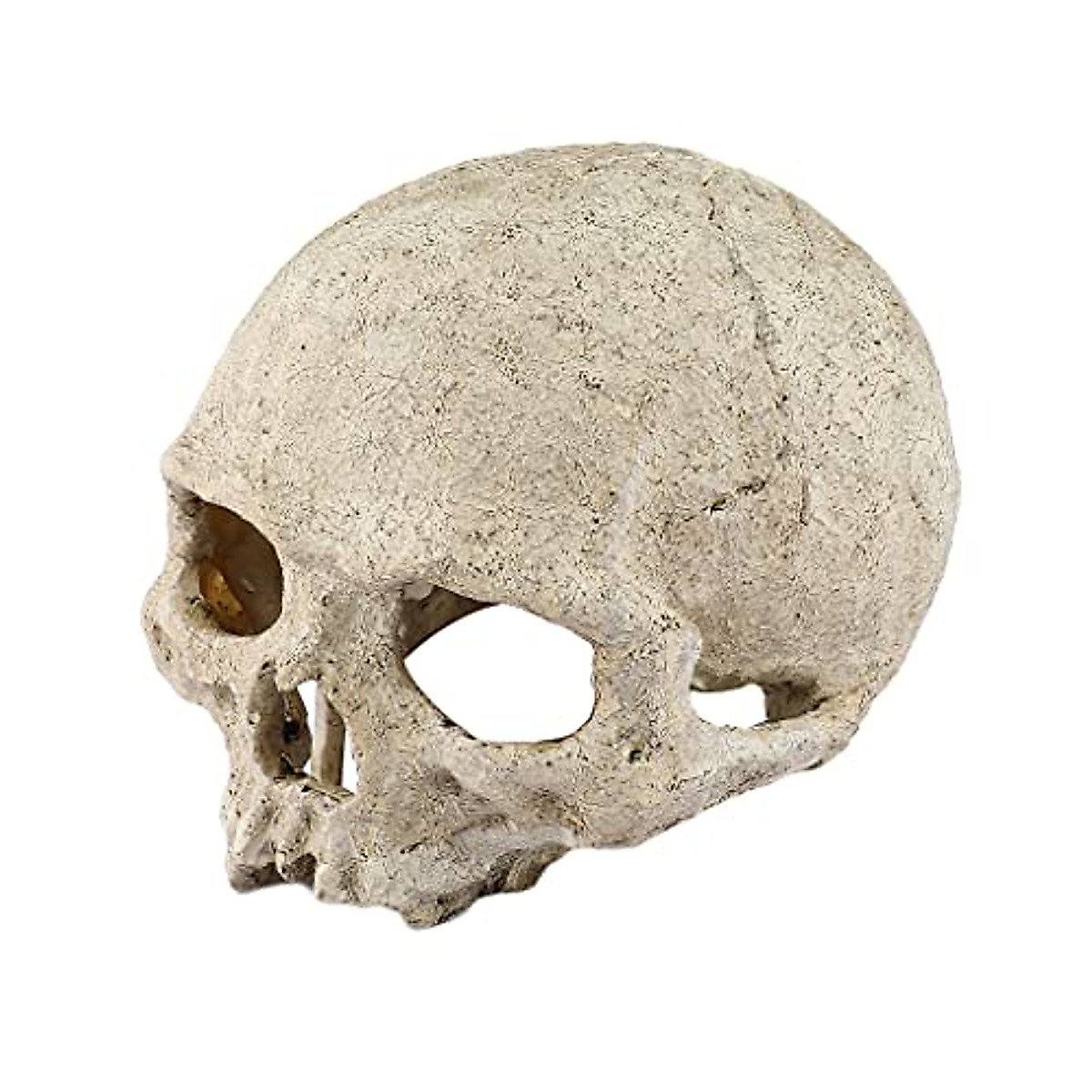 Half Skull Reptile Amphibian Habitat Hide – Premium Non-Toxic Resin for Aquariums & Terrariums – Large Size