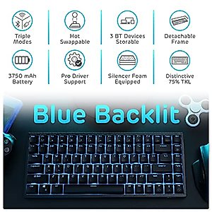 RK ROYAL KLUDGE RK84 Wireless Blue Backlit 75% Triple Mode BT5.0/2.4G/USB-C Hot Swappable Mechanical Keyboard, 84 Keys Tenkeyless Mechanical Keyboard w/Programmable Software, Brown Switch