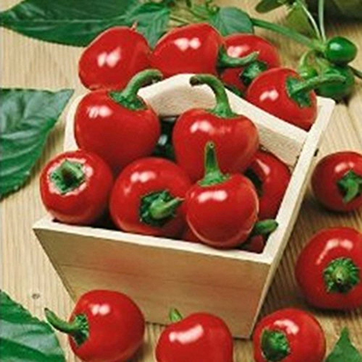 Large Red Cherry Hot Pepper Garden Seeds - 1 g Packet ~125 Seeds - Non-GMO, Heirloom Vegetable Gardening Seeds
