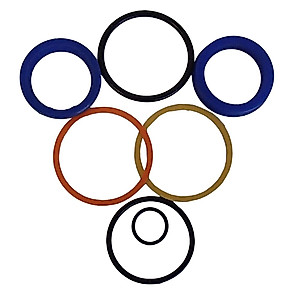 RAParts LL-6014-17 RT Forklift Boom Extension Cylinder Seal Kit Made for Pettibone 636 B-66C