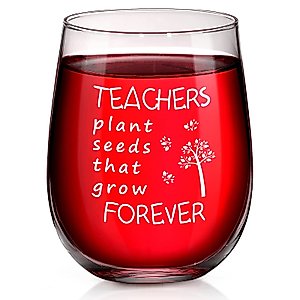 Patelai Teacher Appreciation Gift Teachers Plant Seeds That Grow Forever Wine Glass, Novelty Stemless Wine Glass for Women Friend Coworker, Inspirational Birthday graduation Thank You Gift, 15 Oz