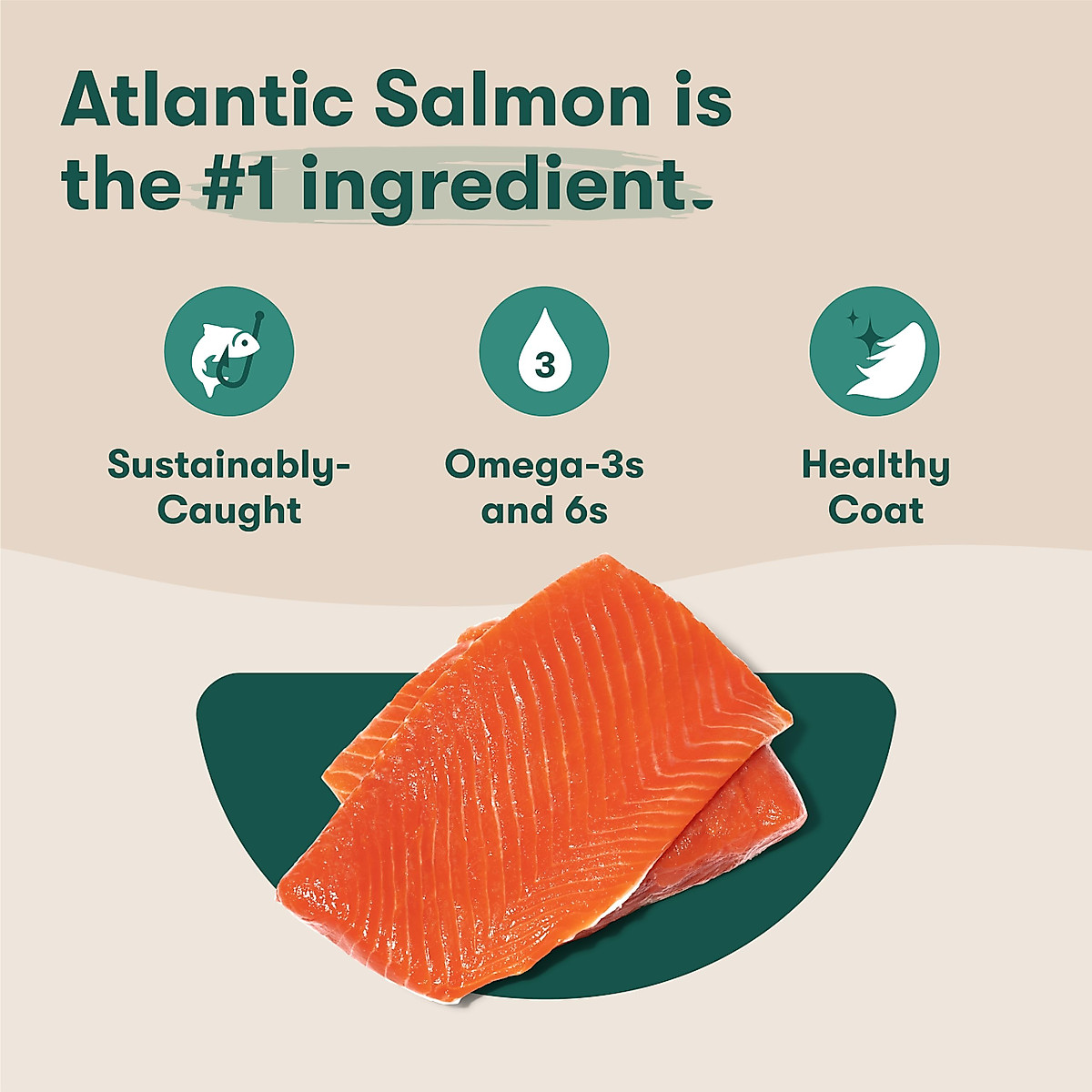 Salmon, Sweet Potato & Carrot Dry Dog Food, Grain Free, High Protein, All Natural, Promotes Healthy Joints, Coat & Immune Function, No Artificial Fillers, 4 Lb. Bag