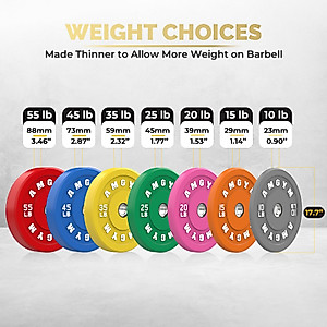 AMGYM Color Olympic Bumper Plate, Weights Plates, Bumper Weight Plate, Steel Insert, Strength Training(45lb Pair)