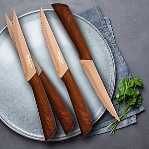 Hampton Forge Raintree 4Pc Steak/Clam, 0.55 LB, Multi