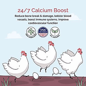 Mile Four | Oyster Shell for Strong Chicken Eggshells | 100% US Mined Limestone | Organic, Natural Crushed Oyster Shell Limestone for a Calcium Boost | Strong Eggshells & Healthier Chickens | 50 lbs.