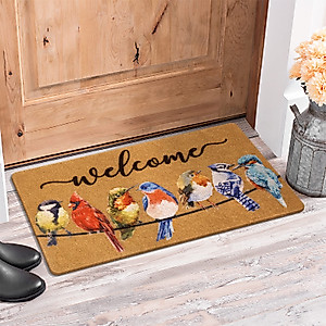 Birds On Wires Welcome Doormat, Durable Bird Welcome Rug Indoor Outdoor Hummingbird Cardinal Robin Non-Slip Rug for Entryway, Porch, Patio, Garage - 17 x 30 Inch