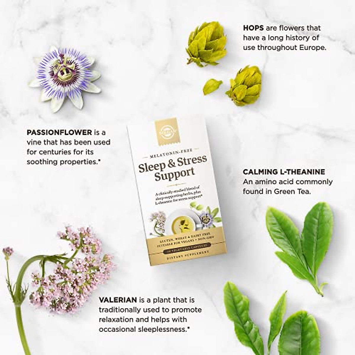 Solgar Sleep & Stress Support, Vegetable Capsules, Melatonin Free, Helps Relax, Calm You, Fall Asleep Quickly, Improve Sleep Quality with Valerian, Passionflower, Hops, Non-GMO, 15 Servings, 30 Count