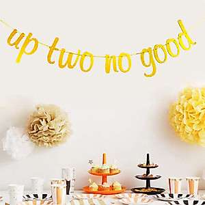 Up Two No Good Banner for 2nd Birthday Anniversary Party Decorations Gold Glitter