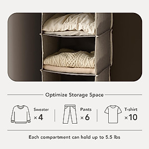 GUDEE ALFIO Shelf Hanging Closet Organizer, Collapsible Hanging Shelves with Dual Sturdy Hooks for Storage, 6 Open Shelving Windows