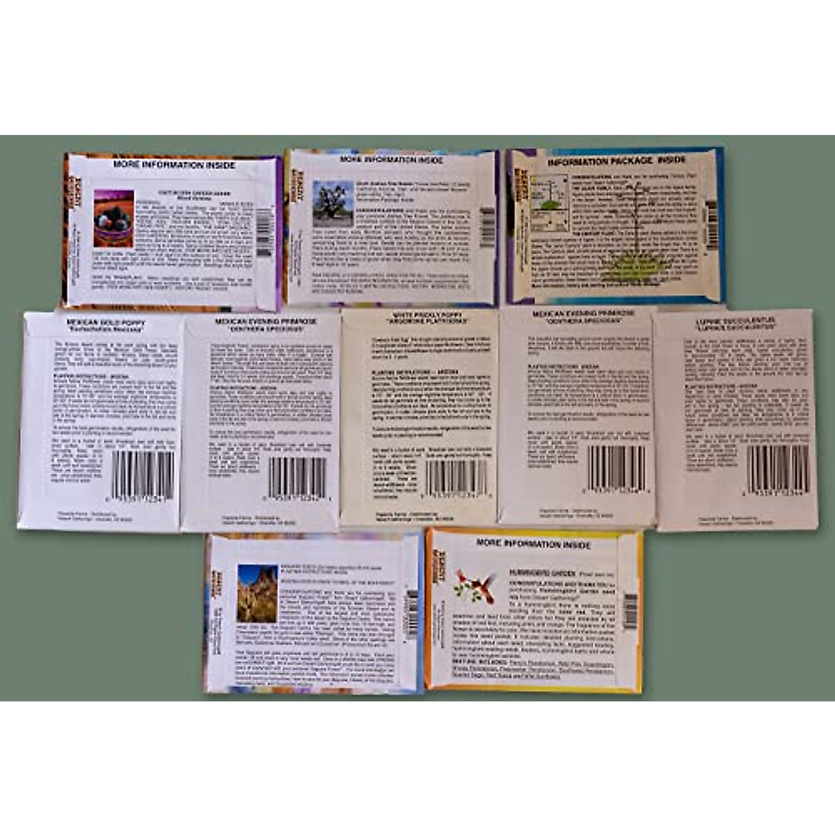 DesertUSA Desert Garden Seed Starter Kit