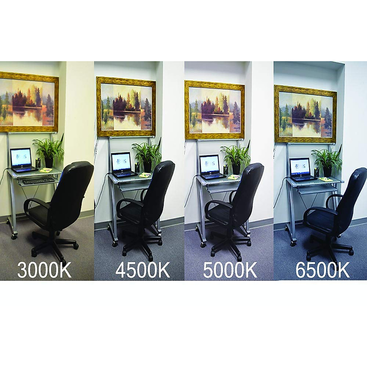 ORILIS 4 Light Fluorescent to LED Retrofit Conversion Kit - Includes (8) Lamp Holders, (4) 4 Ft. Orilis 24W 6500K LED T8 Tubes, (4) Wire Nuts, Copper Wires