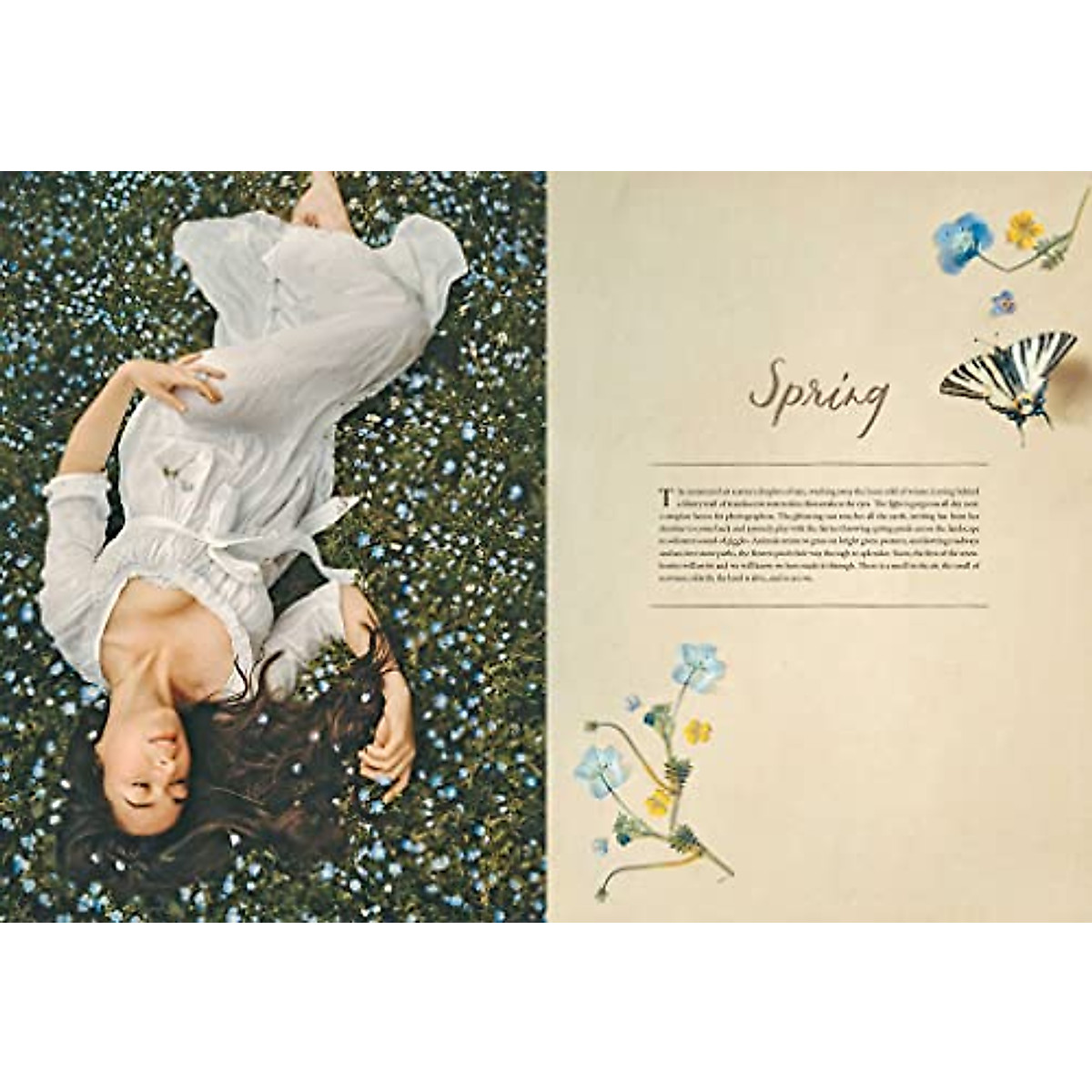 An American in Provence: Art, Life and Photography