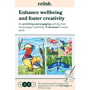 Relish Magnificent Birds Aquapaints - Pack of 5 Reusable Water Painting Activities, Products & Aids for Elderly