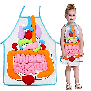 KAKIBLIN 3D Organ Apron,(Upgrade Version) Anatomy Apron Human Body Organs Awareness Educational Toy for Home Preschool Teaching Aid, Transparent