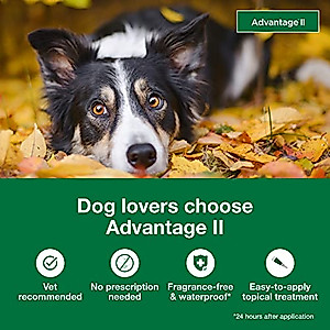 Advantage II Large Dog Vet-Recommended Flea Treatment & Prevention | Dogs 21-55 lbs. | 4-Month Supply