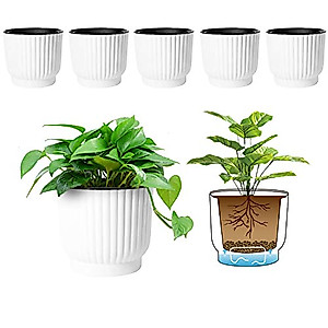 T4U 6 Inch Self Watering Pots for Indoor Plants, 6 Pack White Plastic Flower Pots for All House Plants, Flowers, African Violets