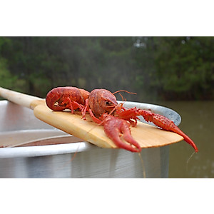 Bayou Classic 1042 42-in Stainless Stir Paddle Perfect for Crawfish and Seafood Boils Durable 42-in Stainless Handle 4-in Wide Perforated Paddle