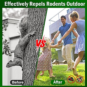 Ultrasir Rodent Repellent, Mouse Repellent 10 Pouches, Peppermint Oil Pest Repellent Granules for Mice Rats Squirrels Ants Spiders, Natural Repel Mouse Deterrent for House,Car,RV,Garage,Cabin,Basement