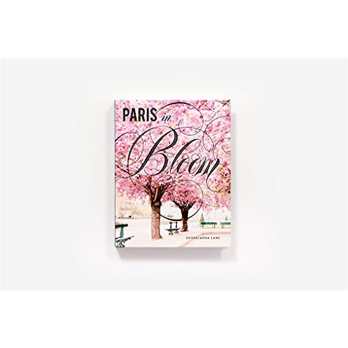 Paris in Bloom