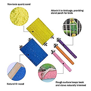 Hamiledyi 5 Pcs Parrot Perch Stand,Natural Wood Bird Perch Stand Platform Paw Grinding Sticks Cage Accessories Exercise Toys for Budgies Parakeets Cockatiels Conures Lovebirds