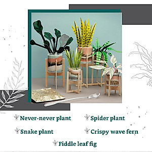 Craft Crush Faux Plant Sand Craft Kit - DIY Home Decor for Desk, Dresser & Office