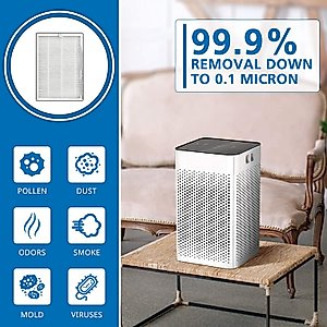 LINNIW 4 Pack MA-25 Replacement Filter Compatible with MA-25 3-in-1 Filters, True HEPA and Activated Carbon (2 Set, 4 Pack