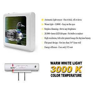 Plug in Dimmable LED Night Light with Dusk to Dawn Auto Sensor, Adjustable Brightness, Warm Light, Auto On-Off Nightlight for Bathroom, Hallway, Nursery, Bedrooms - Loon