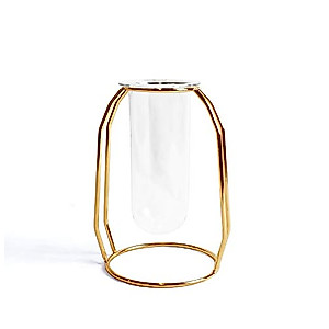 FSyueyun Desktop Glass Vase with Metal Frame，Modern Creative Hydroponics Vase Metal Flower Planter Terrariums Plant Glass-Gold (6.3Inch)
