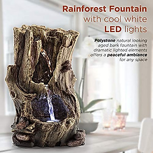 Alpine Corporation 11" Tall Indoor Rainforest Tabletop Fountain with LED Lights , Beige, 7"L x 5"W x 11"H