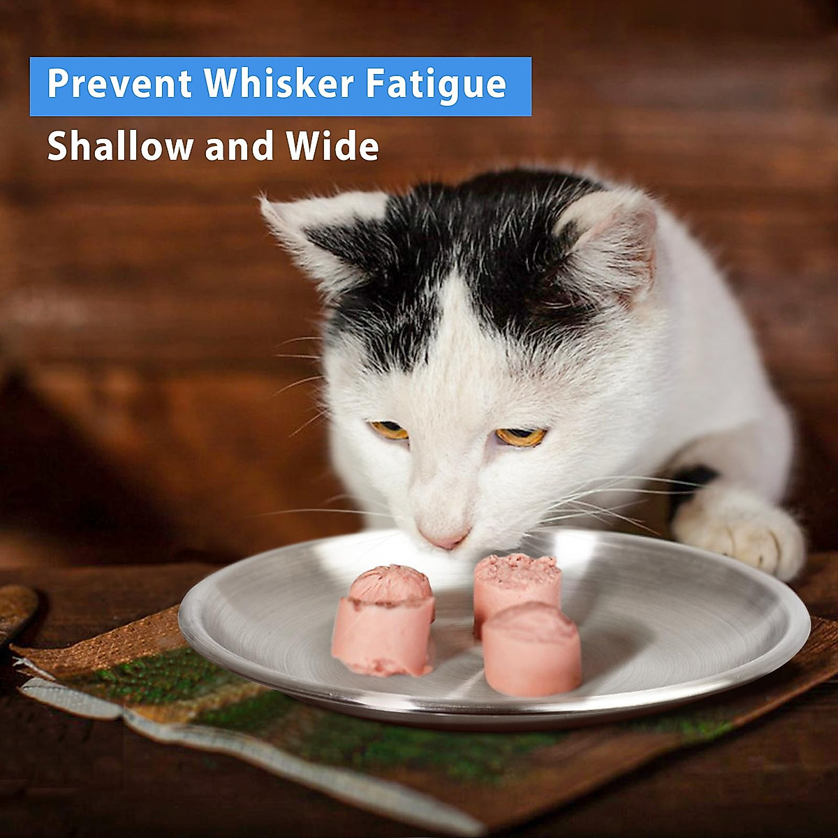 Stainless Steel Cat Dishes for Food and Water Bowls for Kittens and Baby Cats Small Pets Relief of Whisker Fatigue -2 Sets Shallow Style