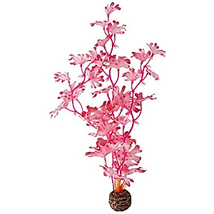 biOrb 46082.0 Kelp Set Medium Pink Aquariums