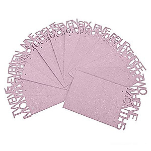 Toxz Kids Birthday Gift Photo Wall Decorations with 1-12 Month Milestone Photo Banner Monthly,Hangging Decor,for Kids Birthday Gift(Ship from US!)