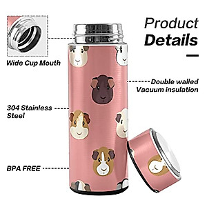 Glaphy Cartoon Guinea Pig Pink Water Bottle, BPA-Free, Stainless Steel, 12 oz Insulated Water Bottles Kids, for School, Office, Gym, Sports, Travel, 350ml