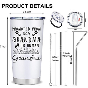 MTSDECO Promoted from Dog Grandma to Human Grandma Tumblers & Water Glasses 20 oz Insulated Stainless Steel Travel Coffee Mug Tumbler for Hot & Cold Beverages Birthday Christmas Gifts