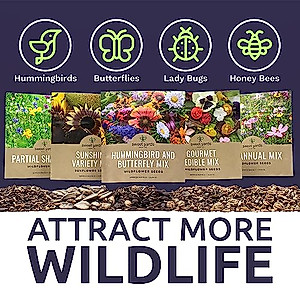 Bulk Wildflower Seeds Variety Pack - 5 Large Packets 5 Different Mixes - Over 1/4 Pound - More Than 30,000 Open Pollinated Seeds