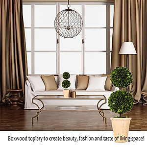Boxwood VALLEY Real Preserved Boxwood Evergreen Potted Tree Globe Tree Topiary in Terracotta Planter, Home Decor Farmhouse (Double Balls Topiary, 20 inches)