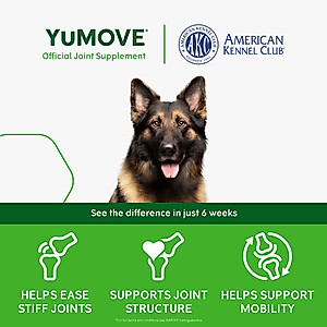 Lintbells YuMOVE Joint Supplement Dog Chews - Contains Glucosamine, Green Lipped Mussel - Natural Relief from Hip Ache, Stiff Joints - 1 Month’s Supply (Large & X-Large)