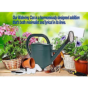 Watering Can 1 Gallon for Indoor Plants, Garden Watering Cans Outdoor Plant House Flower, Gallon Watering Can Large Long Spout with Sprinkler Head (Grey)