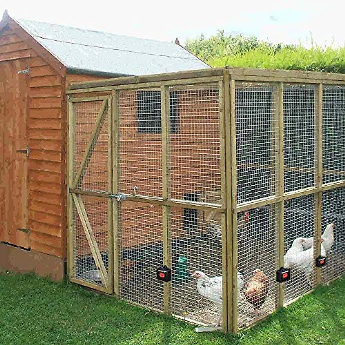 Univerayo Predator Deterrent Light Solar Predator Control Lights for Coyotes Deer Skunk Raccoon 4 Pack and 2 Pack Bundle