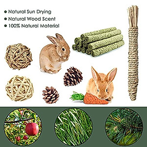 SOYANGNEK Hamster Chew Toys 12PCS Bunny Toys for Rabbits Guinea Pig Toys Natural Timothy Hay Sticks Chinchilla Toys for Teeth Handmade Bunny Treats Gift Apple Wood Sticks Hamster Rat Gerbil