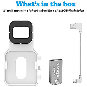 256GB USB Flash Drive and Blink Sync Module 2 Mount, Save Space and Easy Mount Bracket for Blink Outdoor Indoor Security Camera (Blink Sync Module 2 is NOT Included)