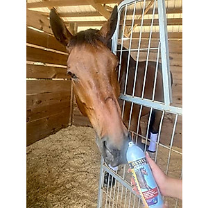 Banixx Premium Liniment