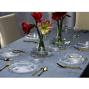 PLASTICPRO 10'' inch Premium Crystal Clear Disposable Plastic Dinnerware Party Plate Pack of 40