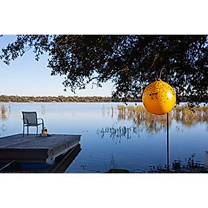 Bug Ball 3 Pack Deluxe Sampler Kit Complete- Odorless Eco-Friendly Biting Fly and Insect Killer with NO Pesticides or Electricity Needed, Kid and Pet Safe