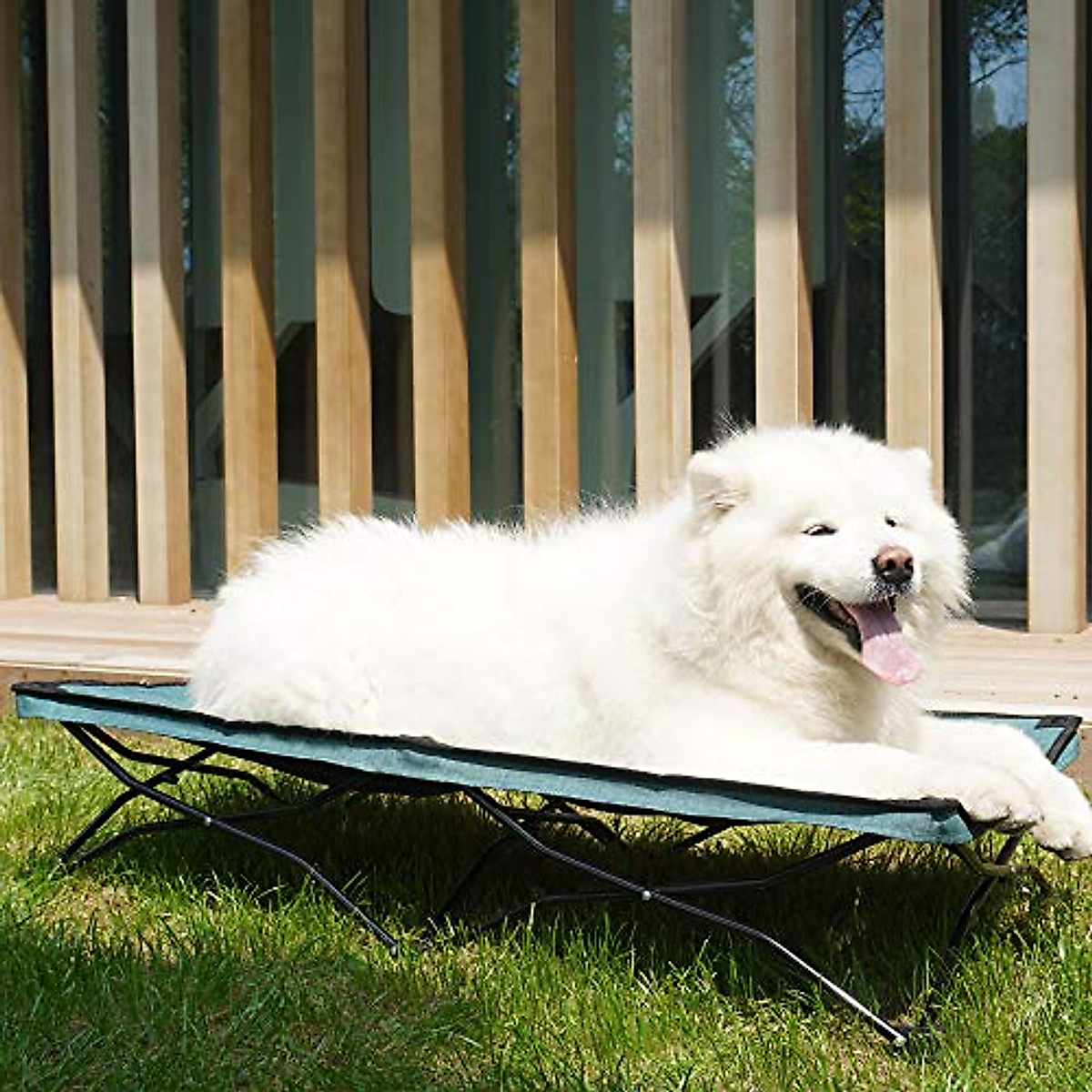 maxpama Folding Outdoor Raised Elevated Cooling Dog Cot Beds for Large Dogs, Camping Portable Pet Beds Durable and Breathable Travel Sleeping Cot with 47 Inches Long, Indoor or Outdoor Use