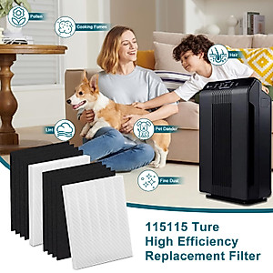 True High Efficiency C535 Replacement 115115 Filter A Compatible with Winix PlasmaWave C535, 5300-2, 6300-2, 5300, 6300, P300, AM90, 9000, 5000, 5000B, C909, 9800, 2 x Filters + 8 x Carbon Pre-Filters